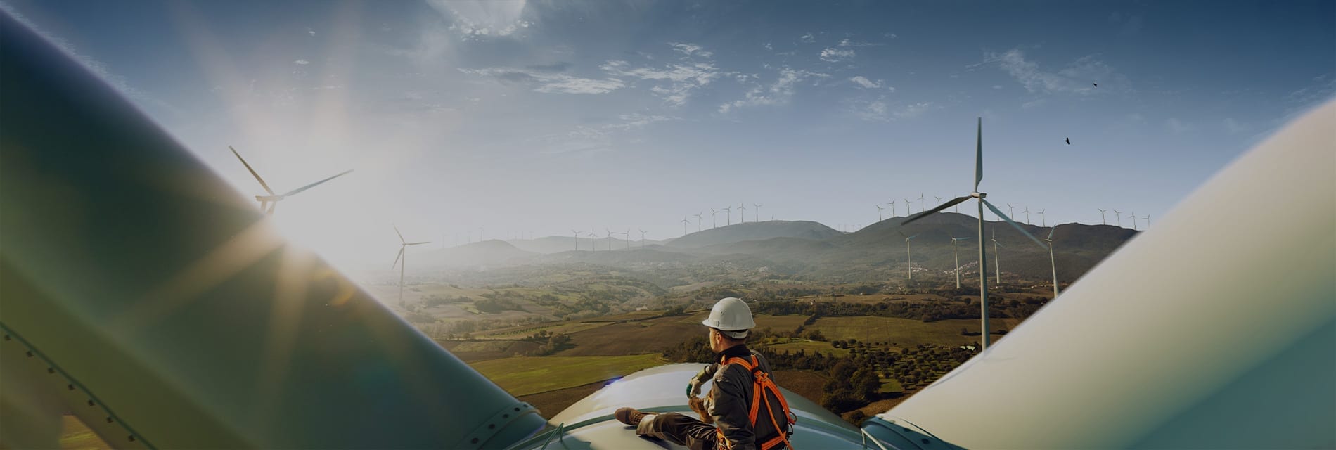 What We Do - SunGrid